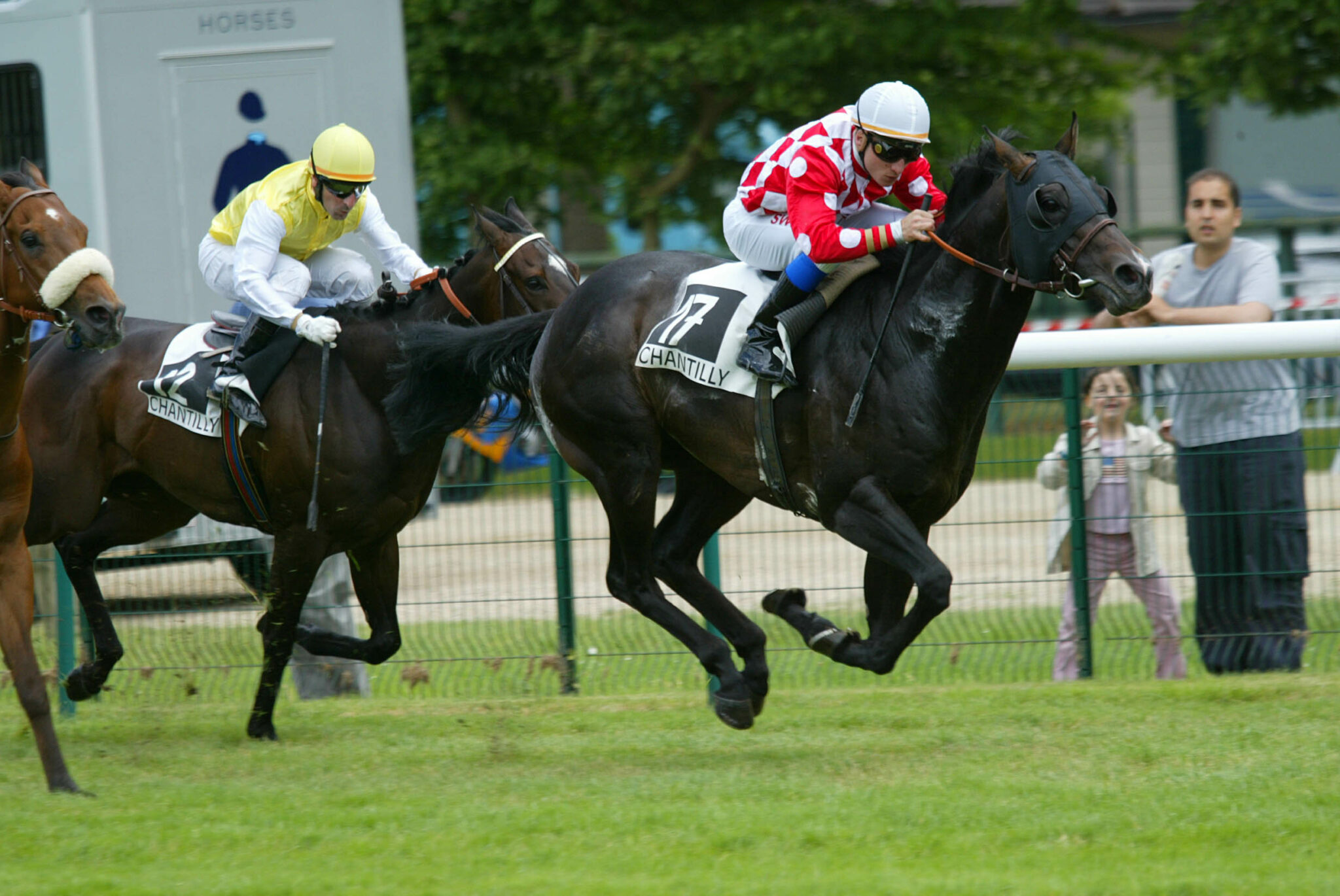 Plat : trouvez un cheval de base solide ! - E-turf.com