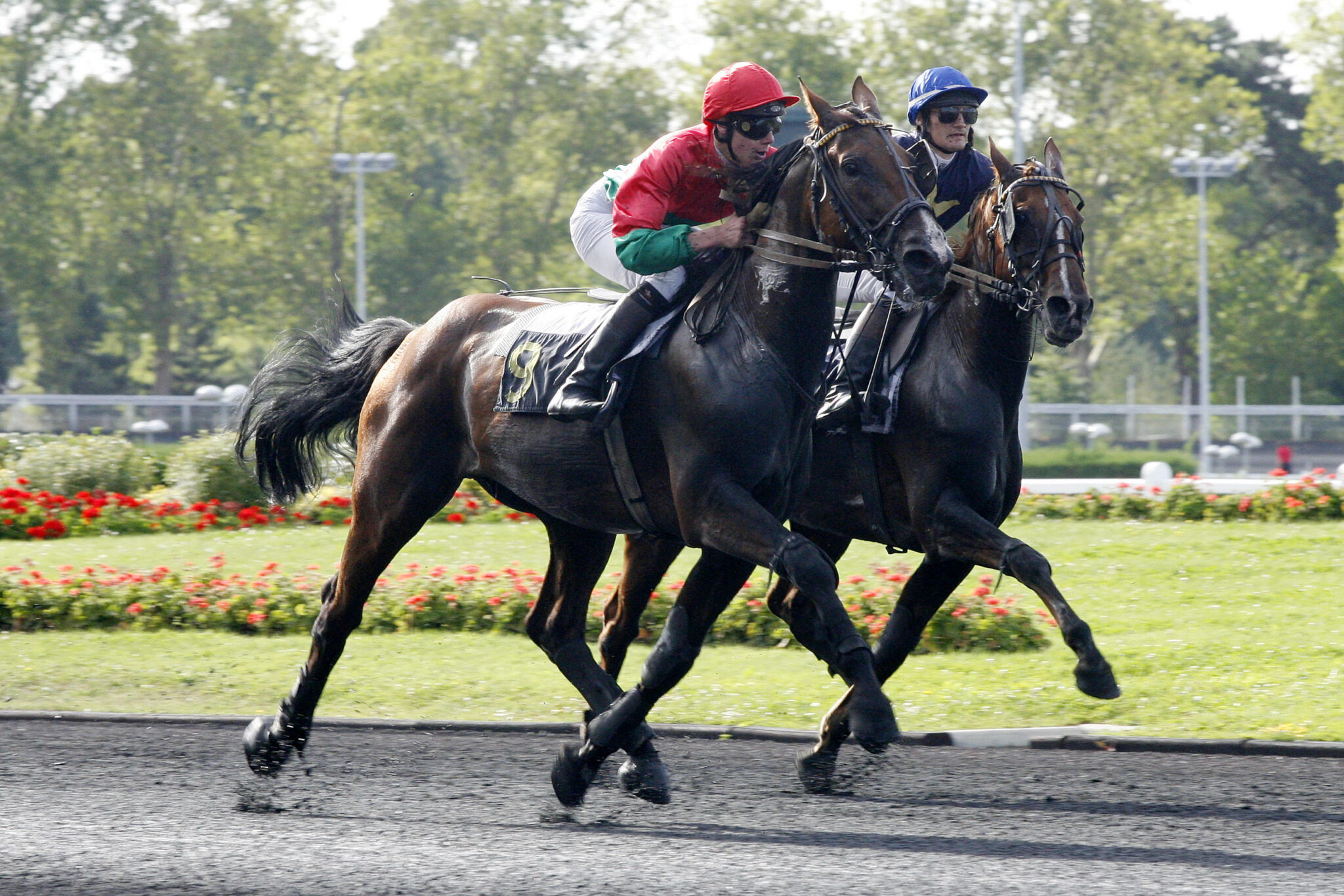 Au PMU vous avez 13 jeux différents. Voici les 8 premiers - E-turf.com