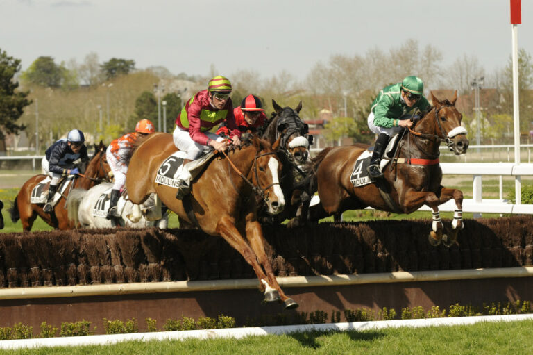 Courses d’obstacles, sautez sur les bénéfices ! - E-turf.com